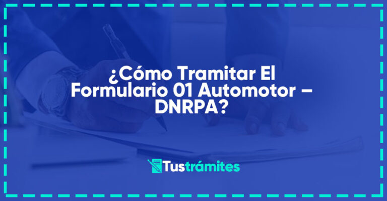 ¿Cómo Tramitar El Formulario 01 Automotor – DNRPA? - Tus trámites